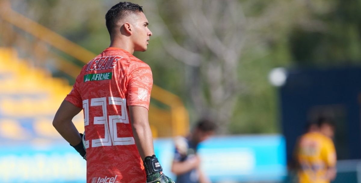 Tigres
