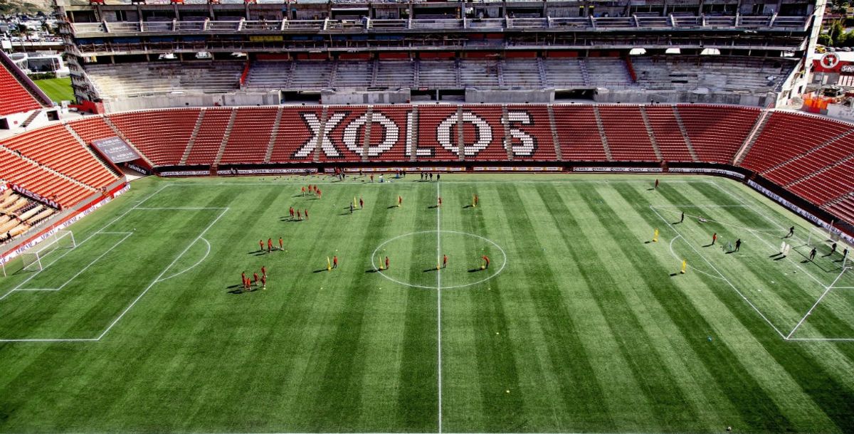 Xolos hará su campaña de recolección de alimentos a cambio de entradas ...